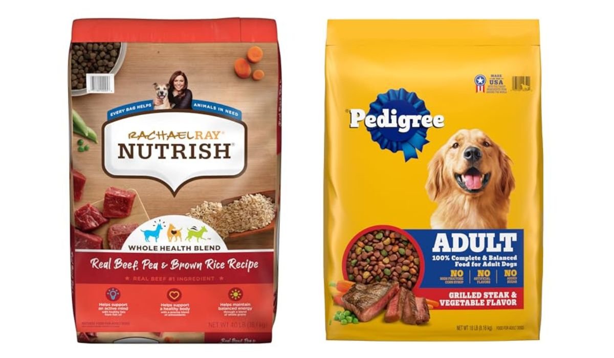 Top 10 Affordable Dry Dog Foods for Large Breeds – Vet Approved! - Dog Food Space