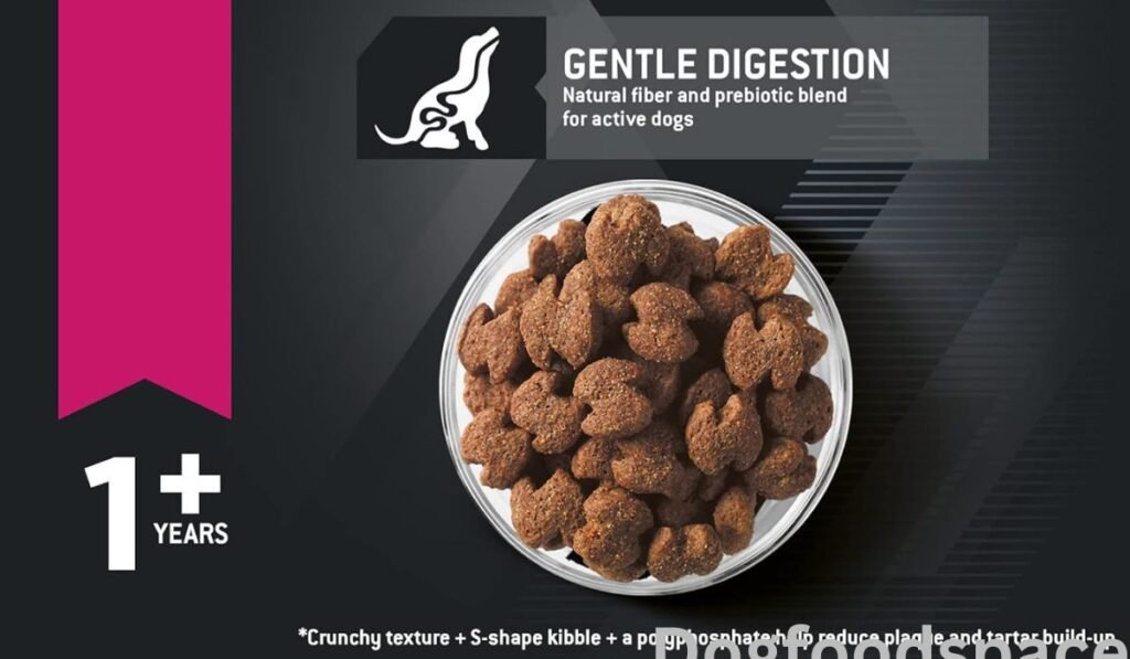 My Honest Guide to Best 10 Sensitive Digestion in Dogs Food