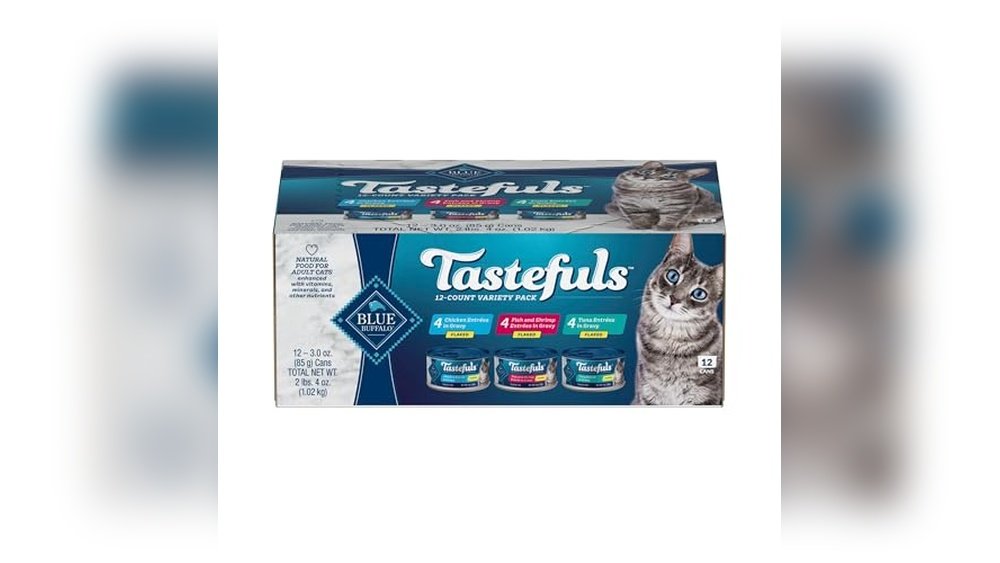 Best Can Food for Cats: Top Variety Packs for Healthy, Happy Pets - Dog ...