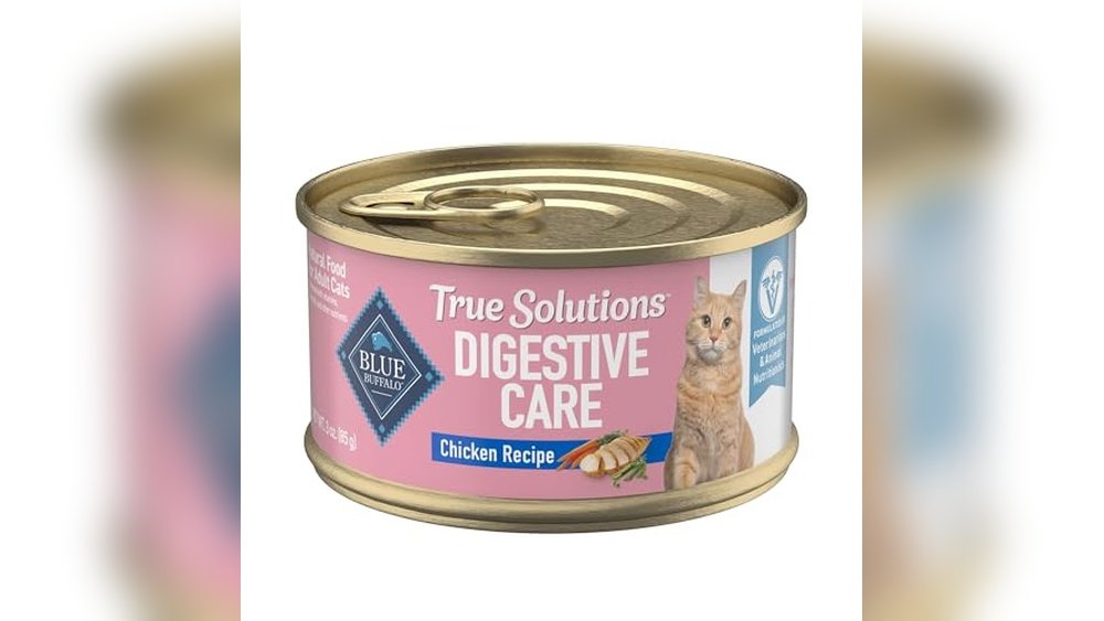 Best Canned Cat Food for Constipation: Top Digestive Care Picks - Dog ...