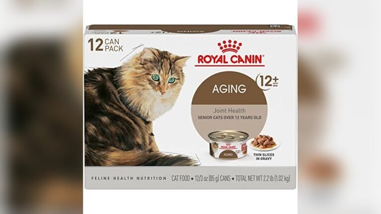 Best Canned Cat Food for Older Cats: Top Nutritious Picks Reviewed ...
