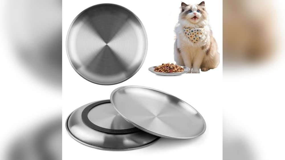 Best Cat Food Bowl Material for Whisker Relief and Durability - Dog ...