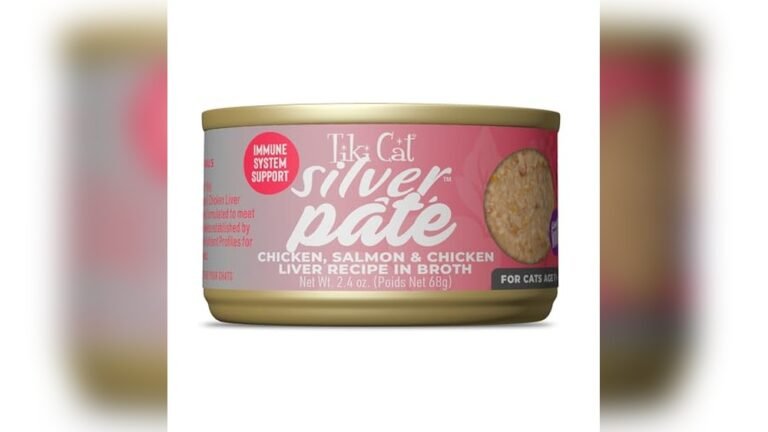 Best Cat Food Chicken Salmon Liver Recipes for Healthy, Happy Cats ...