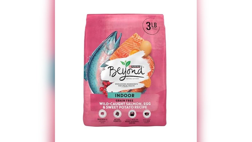 Best Grain Free Salmon Cat Food for Healthy and Happy Cats - Dog Food Space