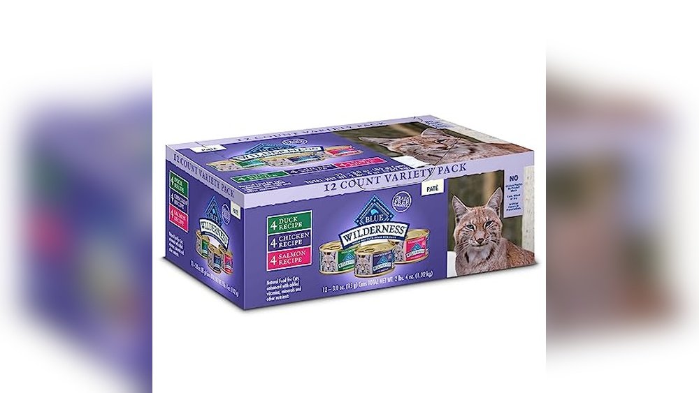 Best High Protein Canned Cat Food for Healthy and Happy Cats - Dog Food ...
