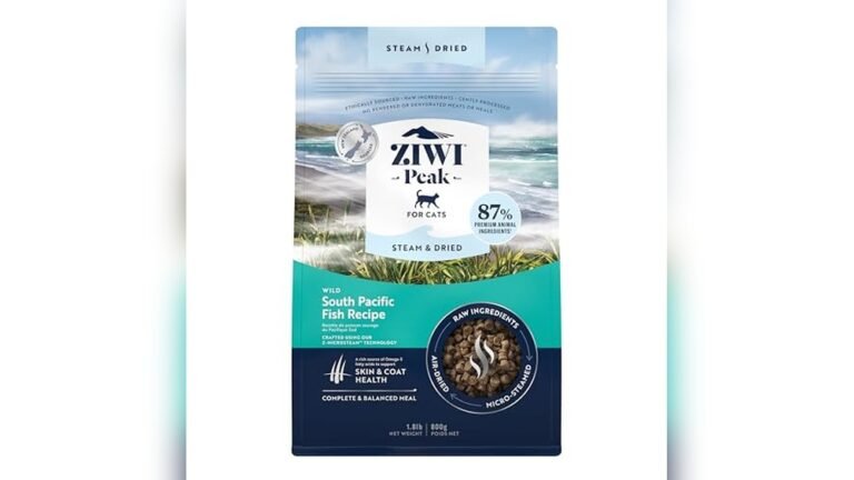 Best Organic Raw Cat Food for High Protein and Healthy Coats