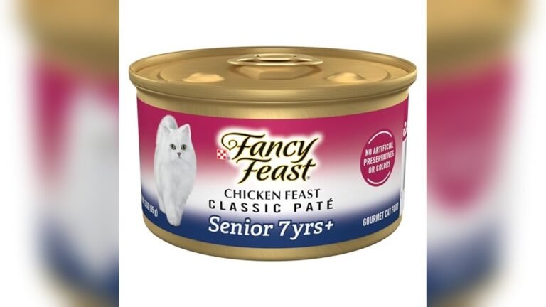 Best Can Dogs Eat Cat Food for One Day: Safe or Risky Choice? - Dog ...