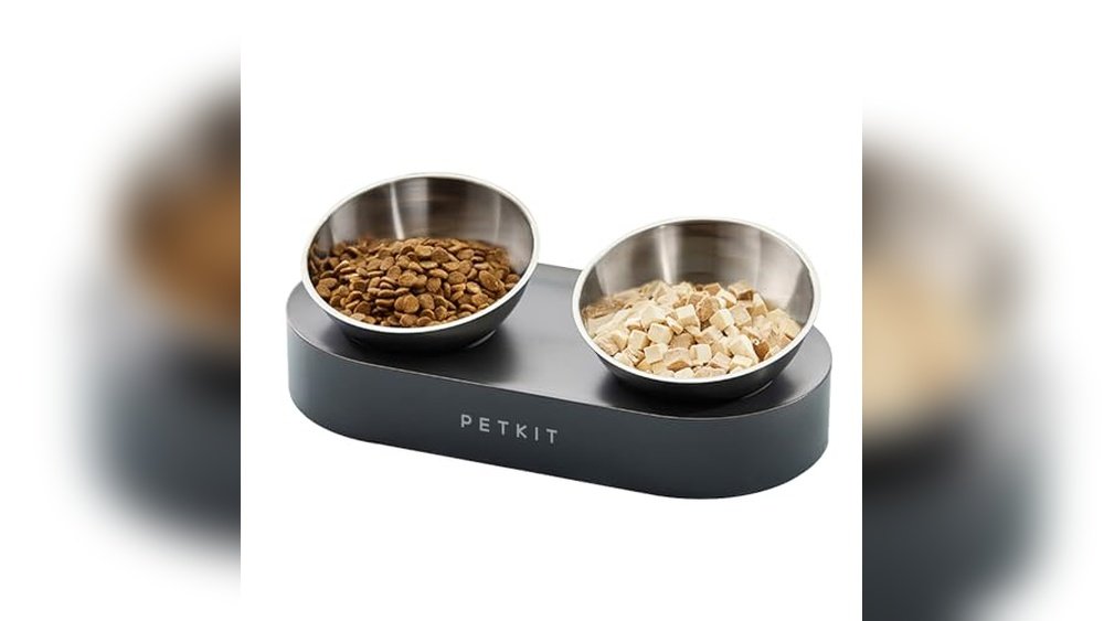 Best Tilted Cat Food Bowls for Comfortable and Mess-Free Feeding - Dog ...