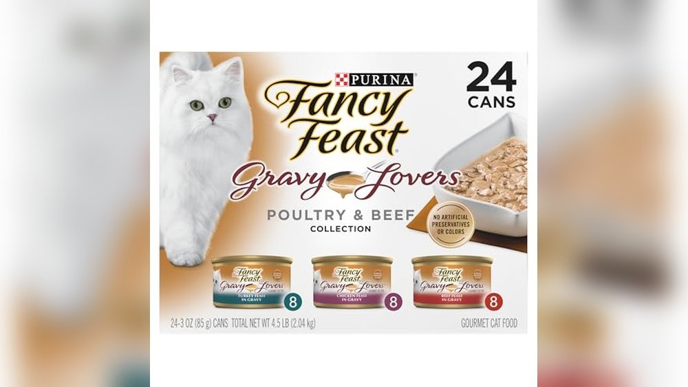 Best Wet Cat Food Gravy: Top Tasty Varieties Your Cat Will Love - Dog ...