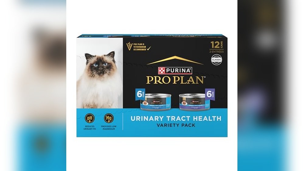 Canned Cat Food for Urinary Tract Health: Top Picks for Happy Cats ...