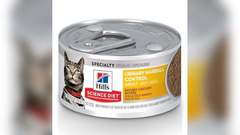 Canned Food for Cats With Urinary Problems: Top Vet-Recommended Choices ...