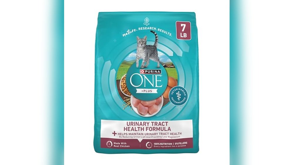Dry Cat Food for Urinary Tract Health: Purina One Special Care Review ...